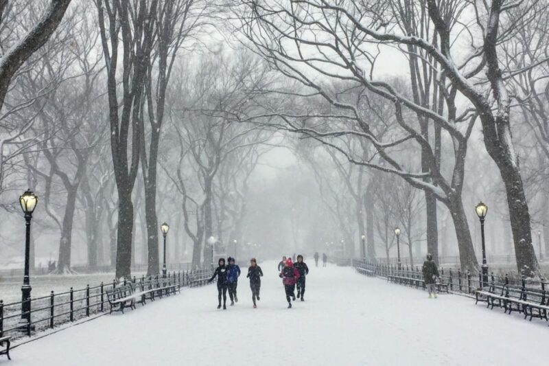 Central Park: Highlights Running Tour - The Sum Up: Who Should Consider This Tour?