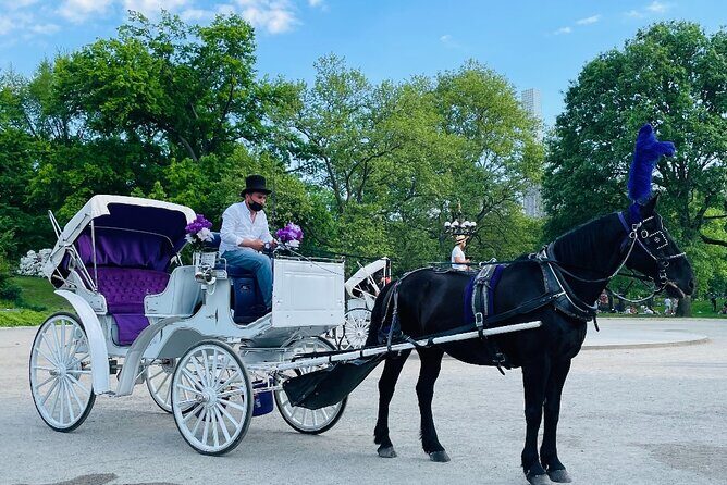 Central Park Horse and Carriage Rides - Why a Carriage Ride in Central Park is a Classic