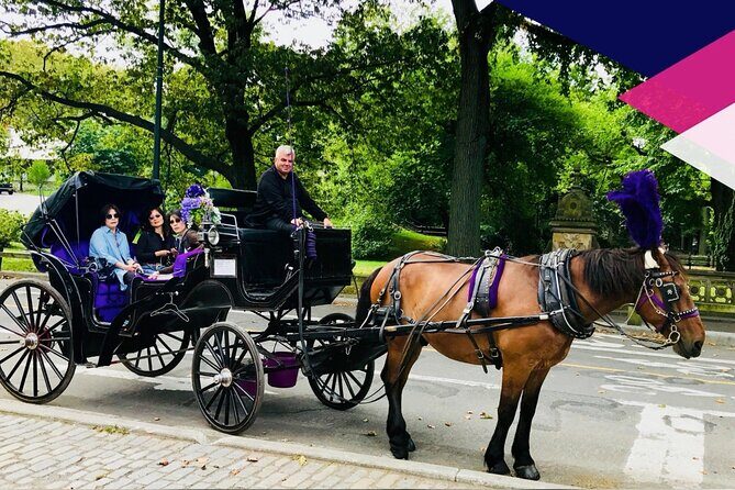 Central Park Horse and Carriage Rides - Analyzing the Value
