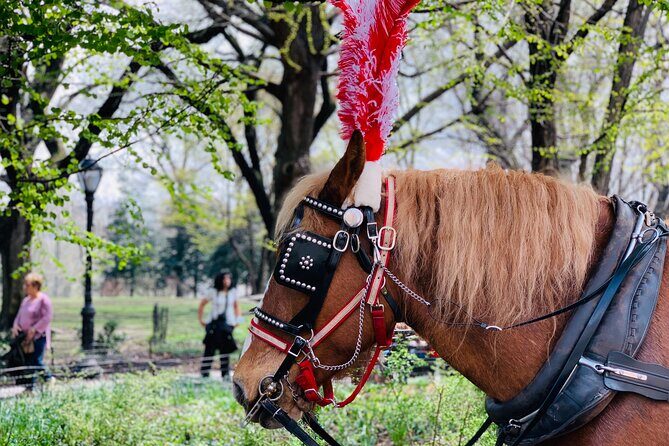 Central Park Horse and Carriage Rides - Who Should Consider This Tour?