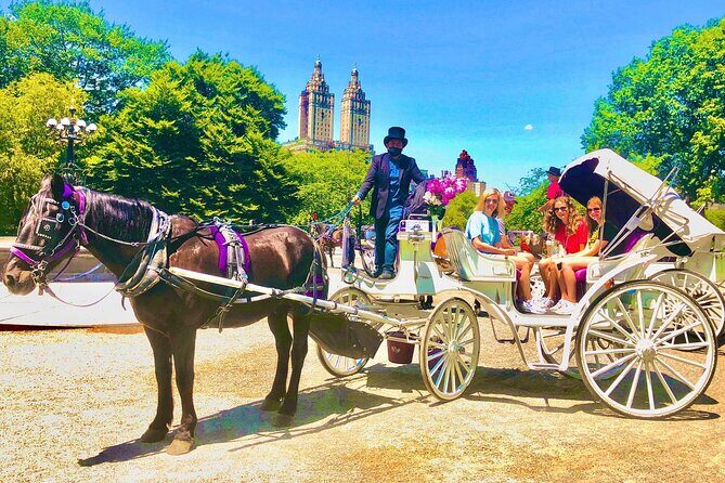 Central Park Horse and Carriage Rides - Final Thoughts
