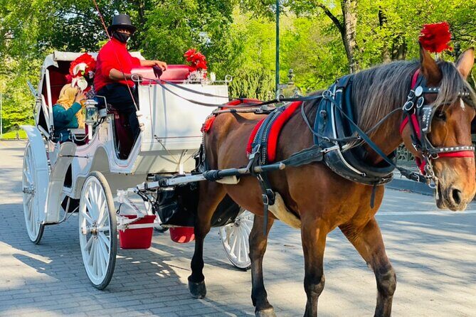Central Park Horse and Carriage Rides - Frequently Asked Questions