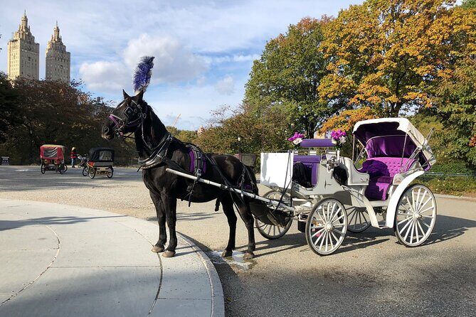 Central Park Horse Carriage Rides Since 2005 - What Makes This Tour Stand Out?