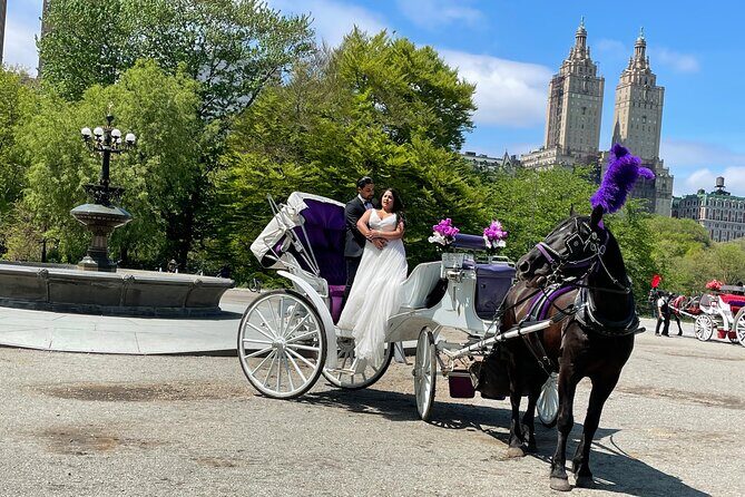 Central Park Horse Carriage Rides Since 2005 - Why This Tour Works Well