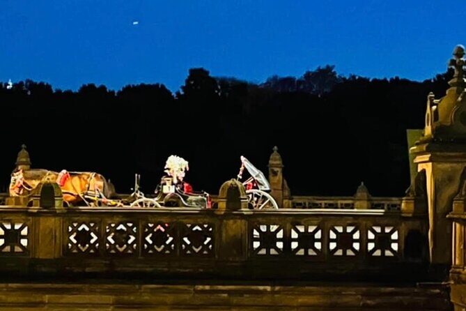 Central Park Moonlight Tour with Photo (45 min) ~ Skip the line - FAQs