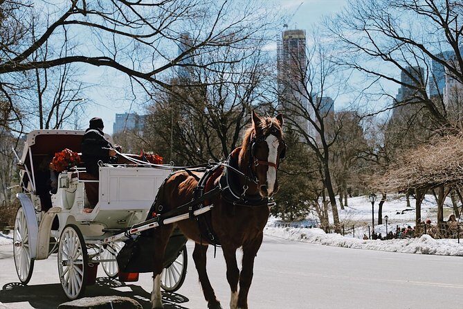 Central Park New York - Exclusive Guided Walking Tour - An In-Depth Look at the Tour Experience