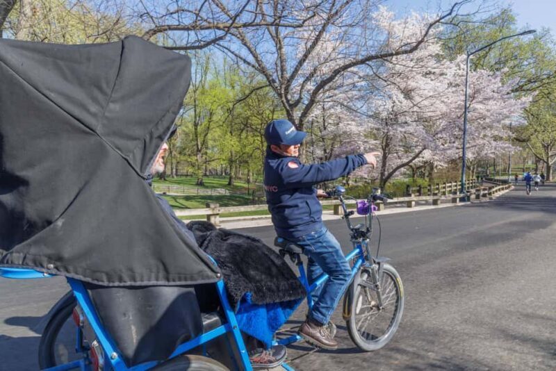 Central Park Pedicab Tour + Optional Natural History Access - Exploring Central Park on a Pedicab: What You Can Expect