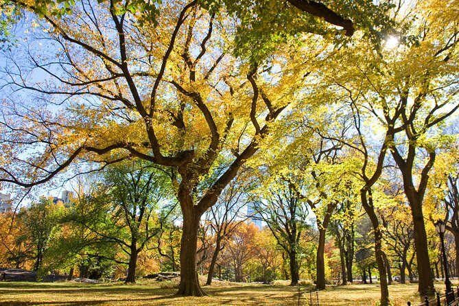 Central Park Photography Tour with Local Photographer - Why This Photography Tour Stands Out