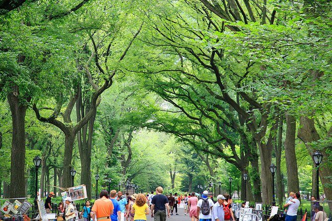Central Park Photography Tour with Local Photographer - What Past Participants Are Saying