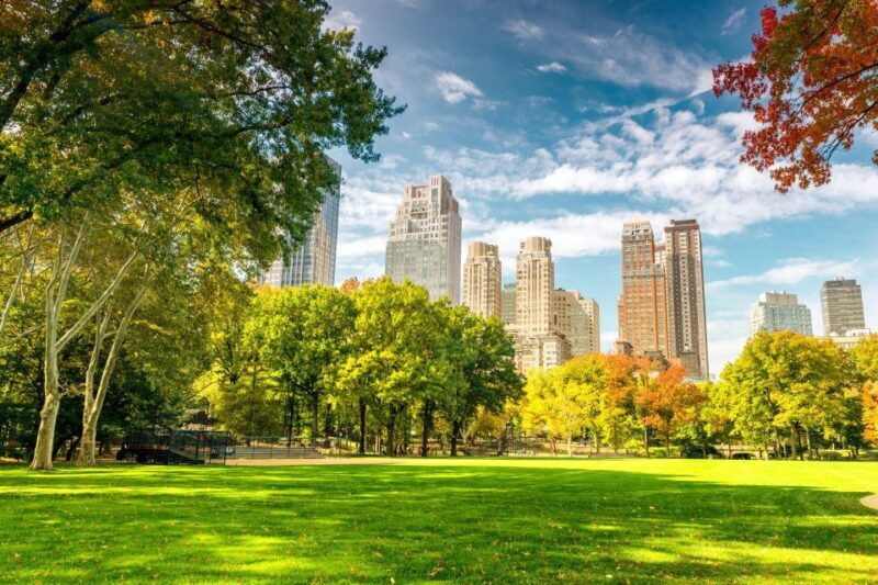 Central Park Private Walking Tour with Transfers - An In-Depth Look at What You Can Expect