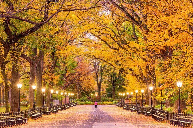Central Park, Rockefeller & Times Square Carriage Ride (4 Adults) - Introduction: A Romantic and Relaxed Way to See NYC