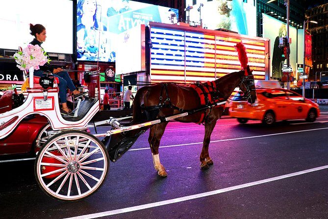 Central Park, Rockefeller & Times Square Carriage Ride (4 Adults) - The Practicalities: What to Expect