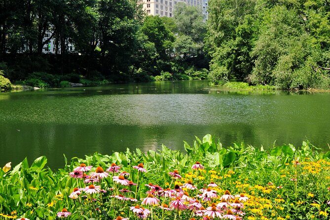 Central Park Scenic Walk with Local Guides - Detailed Breakdown of the Itinerary