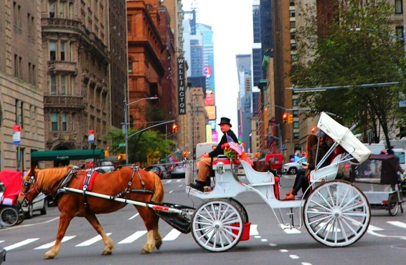 Central Park: Short Horse Carriage Ride (Up to 4 Adults) - What to Expect from Your Horse Carriage Ride