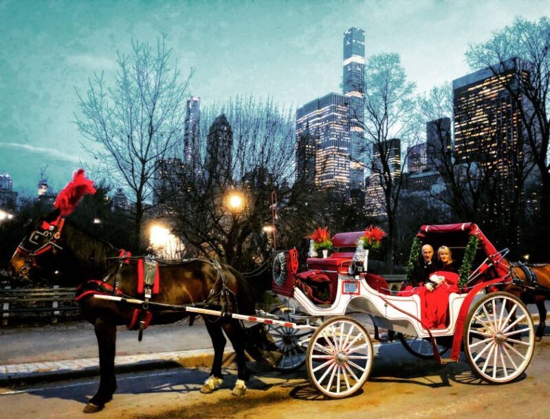 Central Park: Short Horse Carriage Ride (Up to 4 Adults) - Practical Tips for Your Ride