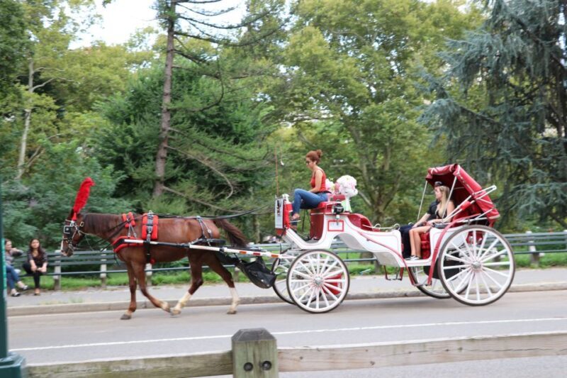 Central Park: Short Horse Carriage Ride (Up to 4 Adults) - Authentic Experiences Backed by Reviews