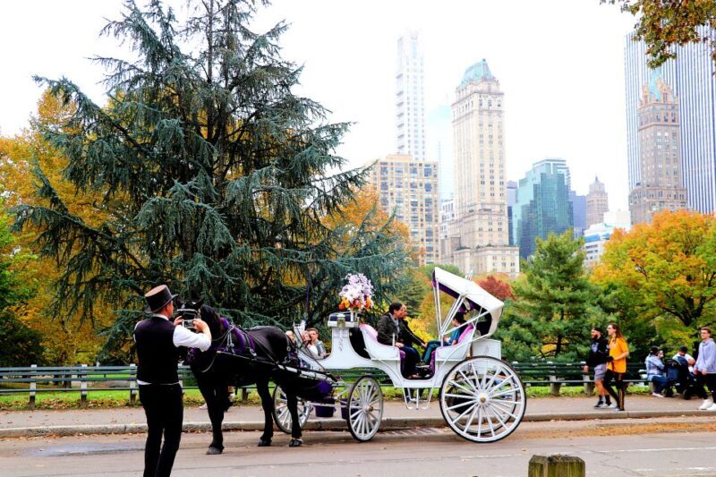 Central Park: Short Horse Carriage Ride (Up to 4 Adults) - Who This Experience Is Best For
