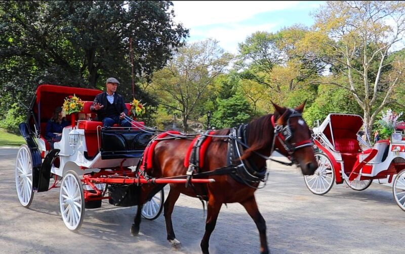 Central Park: Short Horse Carriage Ride (Up to 4 Adults) - The Sum Up: Is it Worth It?