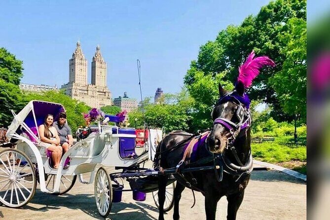 CENTRAL PARK TOUR,Central park sightseeing tours.Flexible Tours - Value for Money