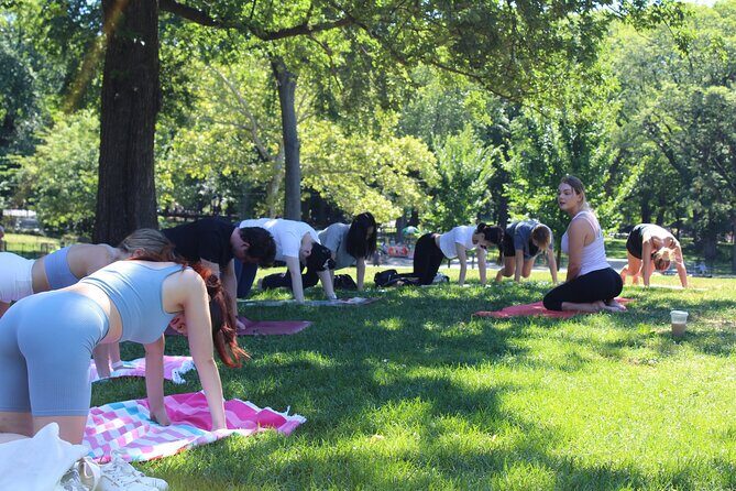 Central Park Yoga Class with a View in the Heart of New York City - The Value in Context