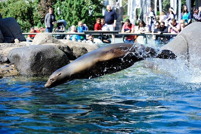 Central Park Zoo Admission Ticket with 4D Theater Access - The Value of the Experience