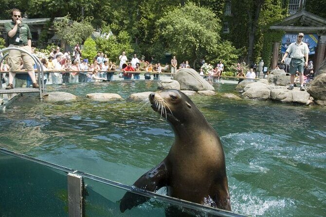 Central Park Zoo and 3hrs Manhattan Walking Tour - Exploring the Best of Manhattan and Central Park Zoo: A Complete Review