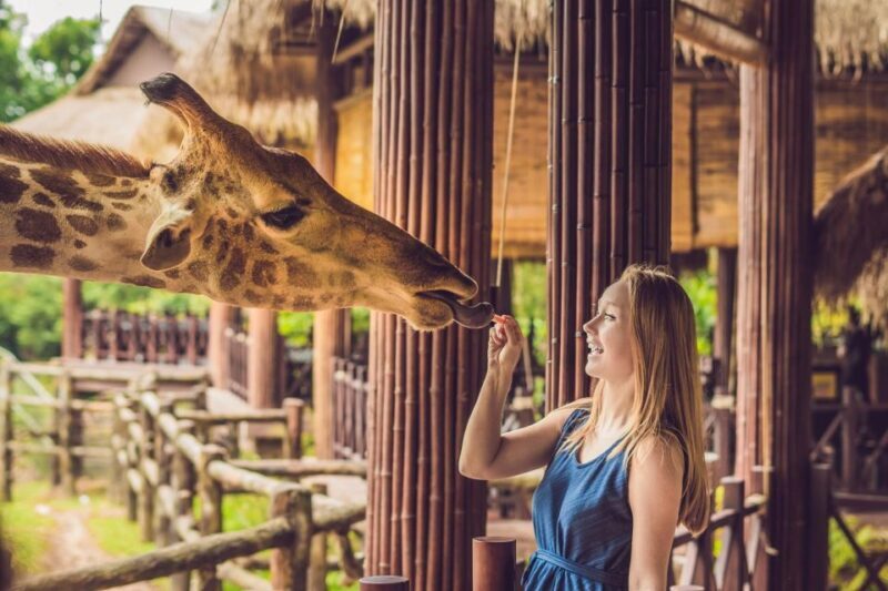 Central Park Zoo Skip-the-line Tickets & Private Transfers - A Step-by-Step Look at Your Zoo Experience