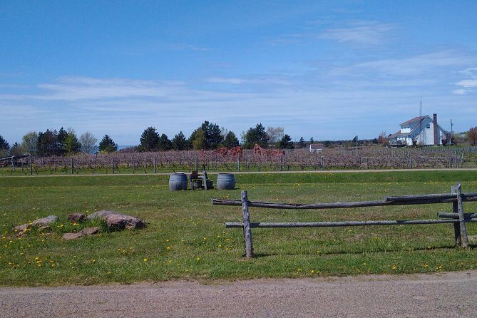 Central PEI Winery, Apiary and Mead Tasting Tour - Transportation and Practical Details