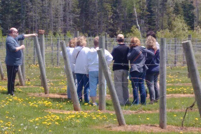 Central PEI Winery, Apiary and Mead Tasting Tour - The Sum Up