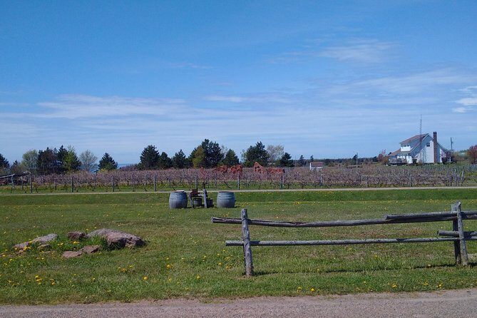 Central PEI Winery, Brewery, and Distillery Tasting Tour DE Force - An In-Depth Look at the Tour Experience