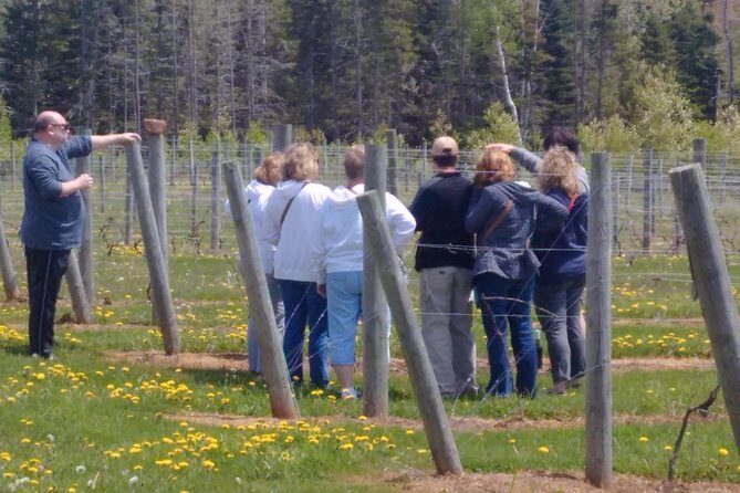 Central PEI Winery, Brewery, and Distillery Tasting Tour DE Force - Summary: Who is This Tour For?