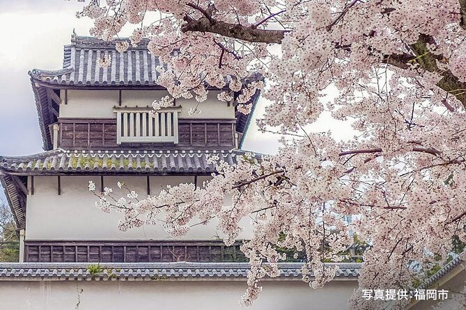 Certified by Fukuoka: A Photogenic Tour to Visit Beautiful Spots with Kimono on! - FAQs