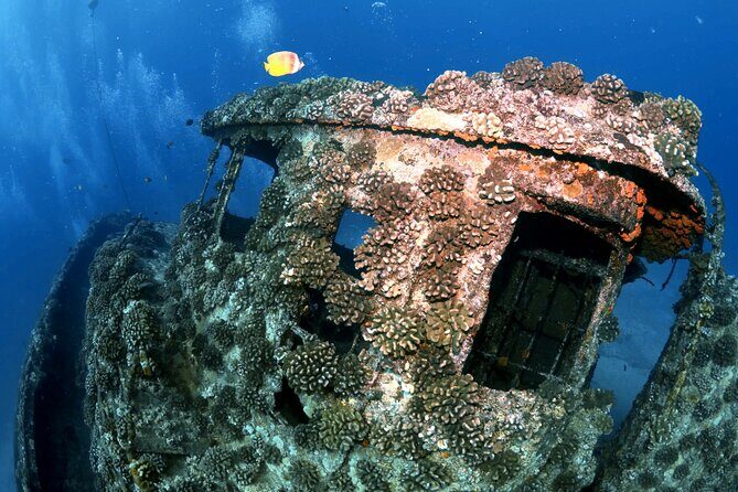 Certified Diver: 2-Tank Deep Wreck and Shallow Reef Dive Off Oahu - Frequently Asked Questions