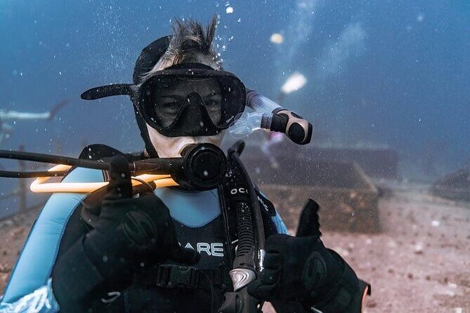 Certified Divers: Best 2-Tank Wrecks & Reef Boat Dive All Inclusive From Waikiki - What Are the Key Points?