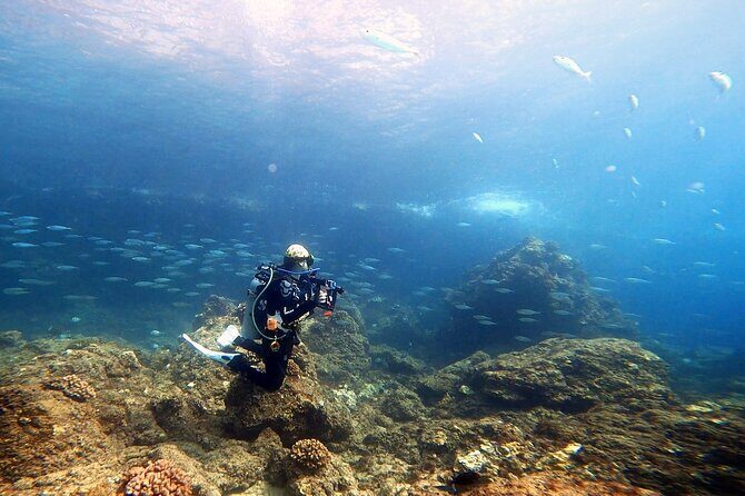 Certified Divers! Scuba dive the Ka'anapali Coast and more! - Practical Details and Considerations