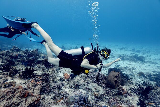 Certified Diving 2 Tanks in Cozumel - Introduction
