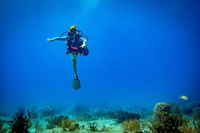 Certified Diving 2 Tanks in Cozumel - Whats Included and What to Budget For