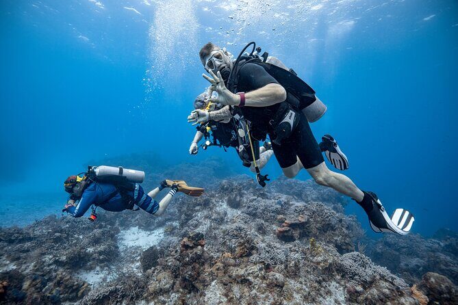 Certified Diving 2 Tanks in Cozumel - Practical Tips for Potential Participants