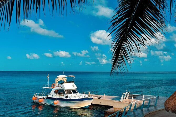 Certified Diving 2 Tanks in Cozumel - The Sum Up