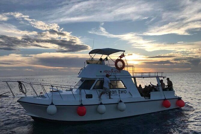 Certified Diving Experience in Cozumel - An In-Depth Look at the Experience