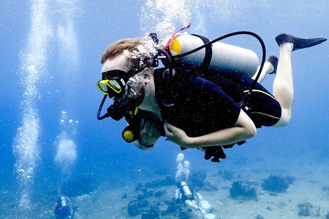 Certified Diving Experience in Cozumel - The Sum Up