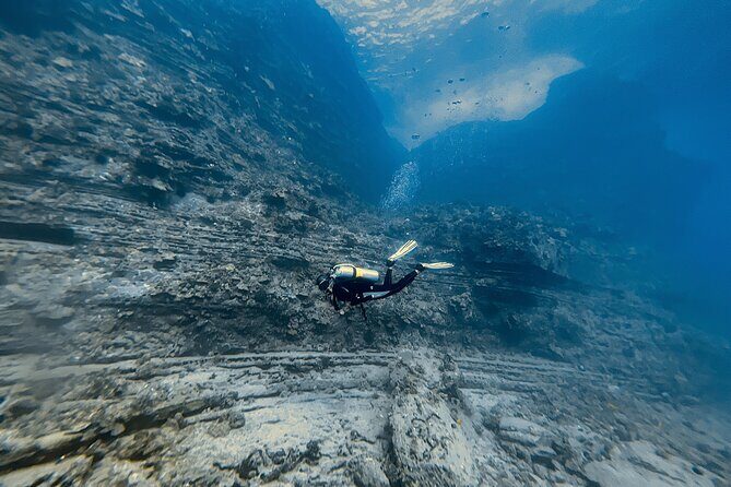 Certified Scuba Diving Experience in Honolulu - What the Price Gets You and Its Value