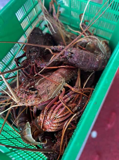 Cervantes: Lobster Catching Tour - Final Thoughts