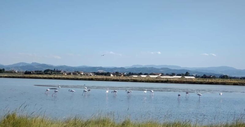 Cervia & Milano Marittima on APE CALESSINO vintage - Key Points