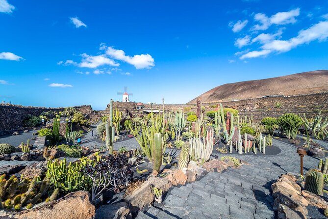 Cesar Manrique Highlights Half Day Tour - Exploring Lanzarote’s Art and Landscape: What to Expect