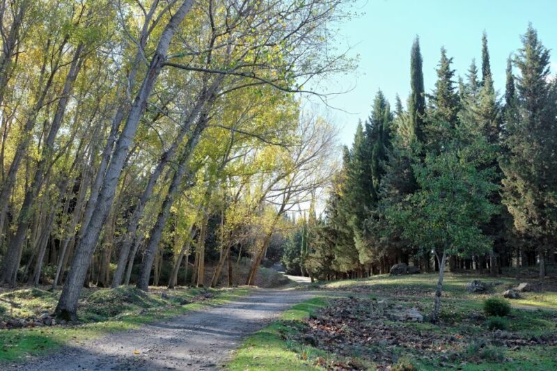 Cesarò: Full Day Tour of Nebrodi Park in a 4x4 - Authentic Experiences and Honest Feedback