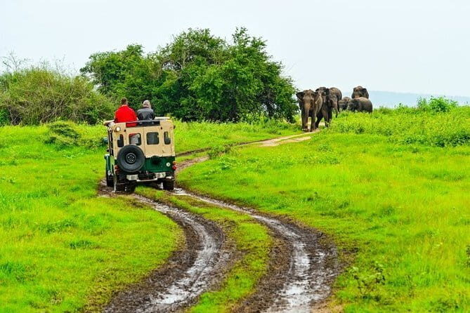 Cey Tours lets explore amazing pearl srilanka with mr.cey - FAQ