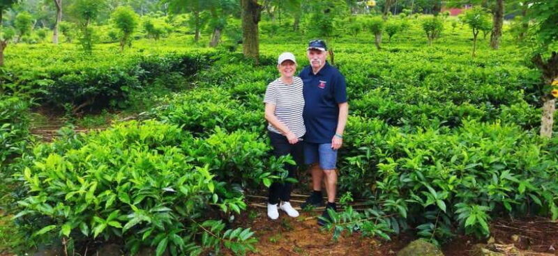 Ceylon Tea Experience from Colombo Port Passenger Terminal - What’s Included and What’s Not