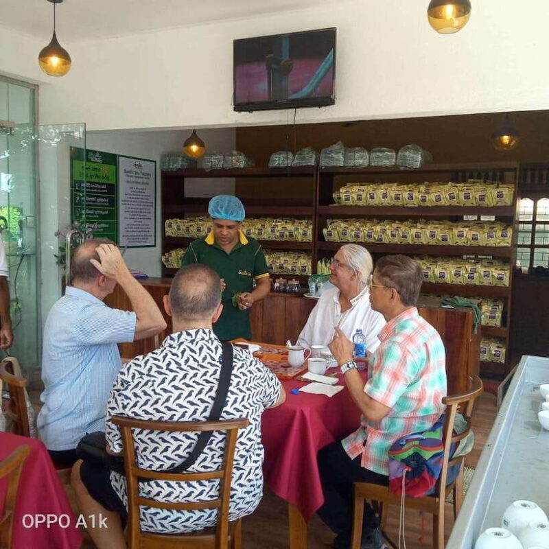 Ceylon Tea Experience from Colombo Port Passenger Terminal - Authentic Insights from Past Travelers