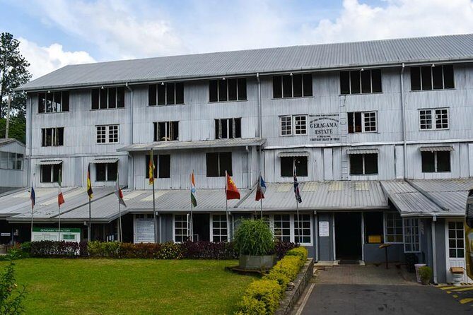 Ceylon Tea Experience Start from Colombo Port Passenger Terminal - Final Thoughts